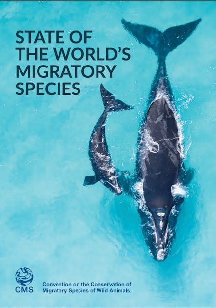 State Of The World S Migratory Species One Earth