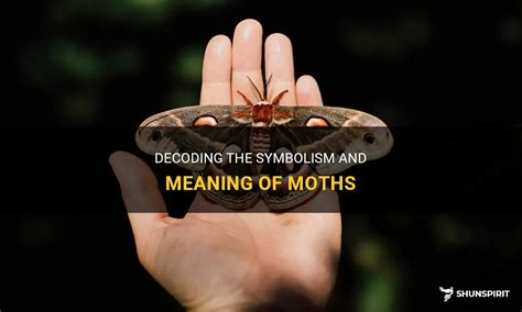 Decoding The Symbolism And Meaning Of Moths Shunspirit