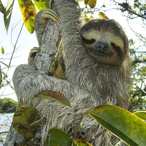 The Panama Guide For Expats 2024