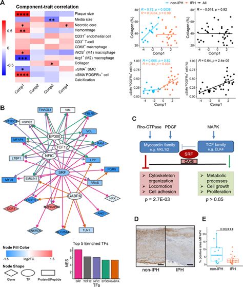 Biological Extension Of The Results Of The Multiomics Analysis A