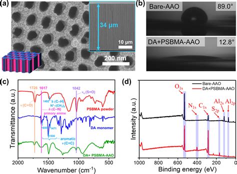 Surface Modification Of Nanopores In An Anodic Aluminum Oxide Membrane Through Dopamine Assisted