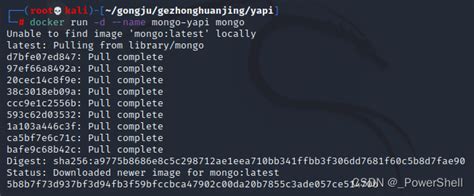 环境搭建篇 docker 搭建部署 YAPI 框架 阿里云开发者社区