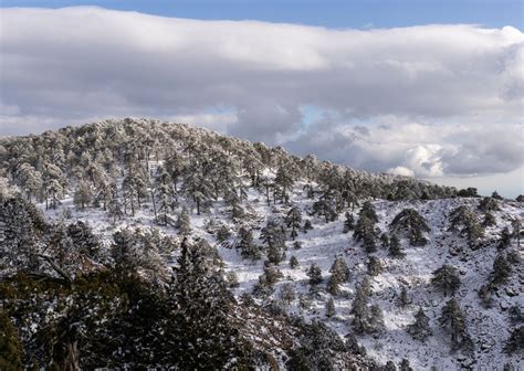 Troodos Mountains In Cyprus A Z Guide On Venturing Off The Beaten Track