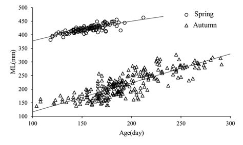 Ml Age Relationships Of S Oualaniensis Samples Download Scientific