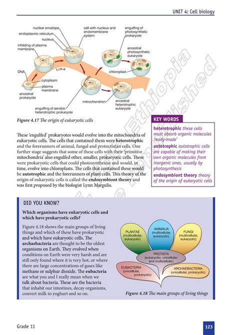 Biology Grade 11 Textbook Pdf