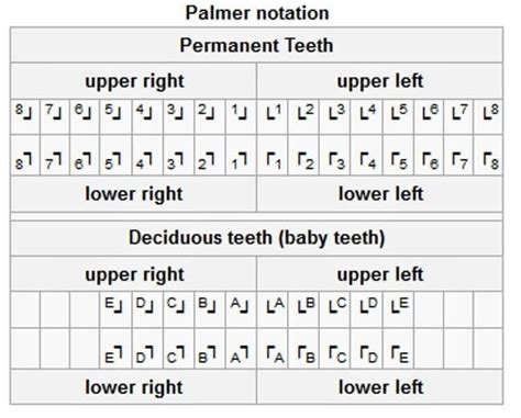 Palmer Numbering System Zsigmondy Palmer Notation System 1861