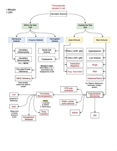 Algorithm For The Diagnosis And Workup Of Hemolytic Anemia📌 Osama Ahmed