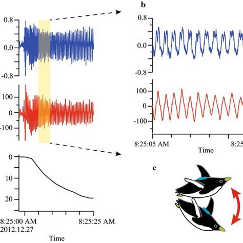 overall angular velocity rms and dynamic acceleration rms boxplot