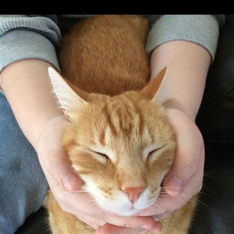 Dylan Mullins Youtube