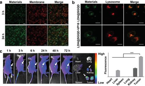 Trifunctional Graphene Quantum Dot Ldh Integrated Nanoprobes For