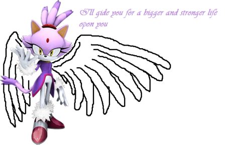 The Sonic Angles By Sunsetthehedgehog On Deviantart