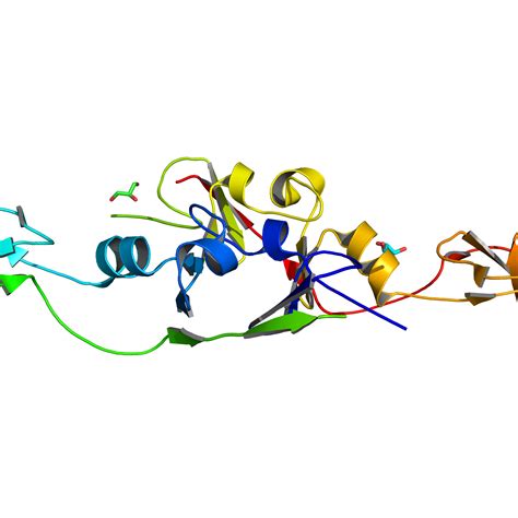 A Circular Protein Complex Mackay And Matthews Lab