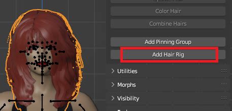 Diffeomorphic Adding An Armature To Mesh Hair