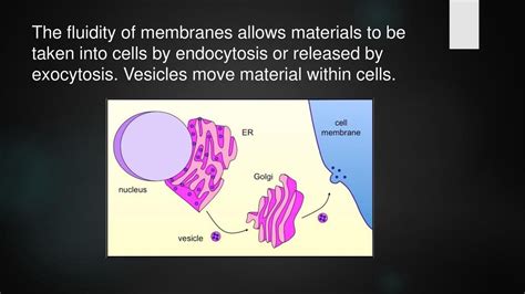 Cell Biology By Langston Tunson Ppt Download