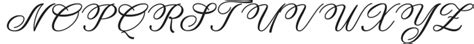 dandelion script regular otf 400 font script decorative what font is