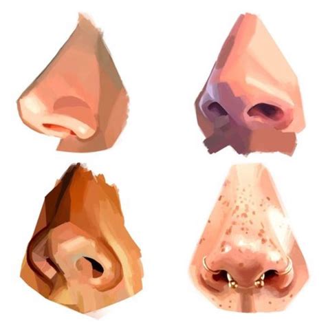 Pin By Cass On Ideas Nose Drawing Digital Art Tutorial Anatomy Art