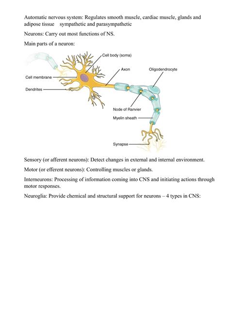 Human Bioscience Full Notes Bms191 Human Bioscience 1 Csu Thinkswap