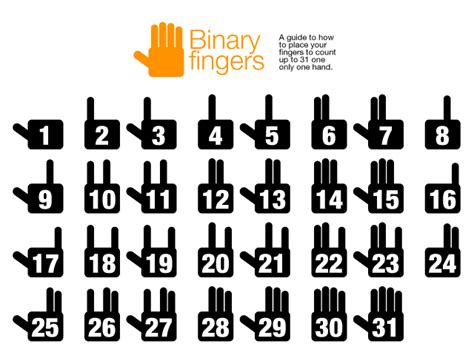 La Covacha Matemática Conteo Con Los Dedos Al Estilo Binario