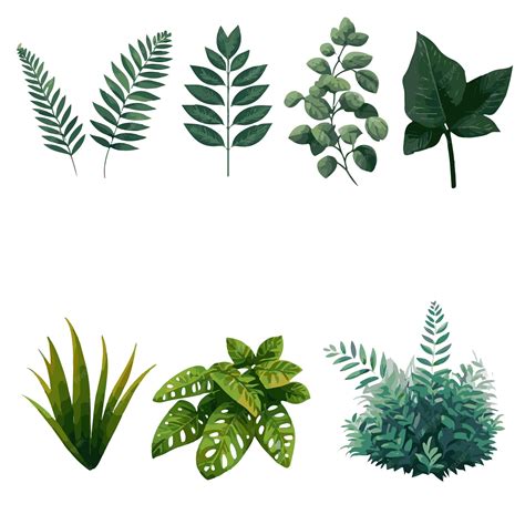 Premium Vector Plant And Leaf Vector