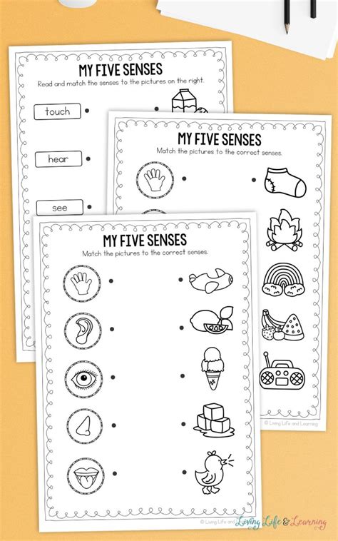 5 Senses Worksheets For Middle School