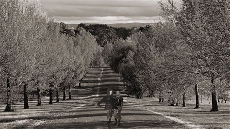 Renz Tv Hi Bella Poarch Paalam Kamuna Sa Munisipyo