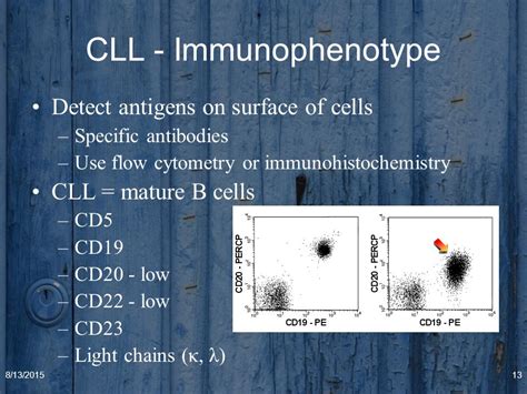 Chronic Lymphocytic Leukemia Cll Ppt Download
