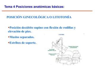 Posiciones Anatomicas Basicas Enfermeria Ppt