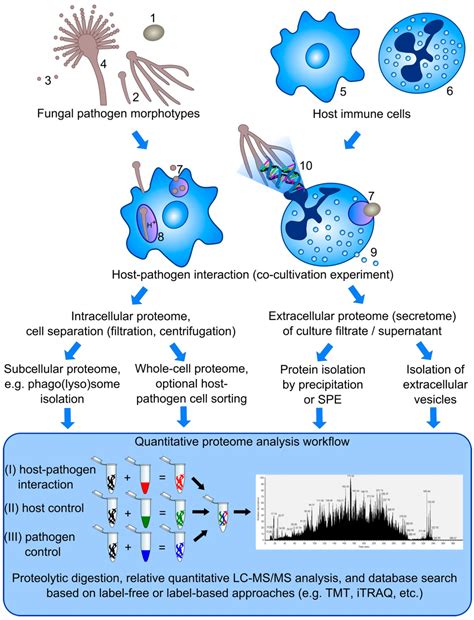 Proteomes Special Issue Microbial Proteomics