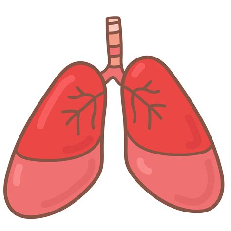 Lung Doodle Cartoon 39095949 Png