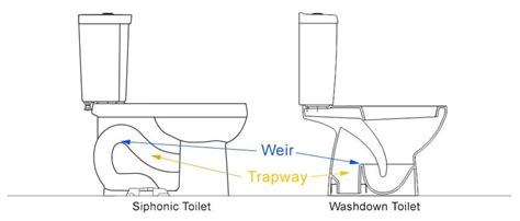 How To Clean Toilet Siphon Jet Easy And Effective