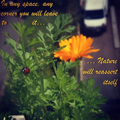 Reassert Itself Metanoid