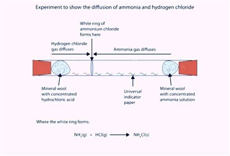 Best Answer Draw The Diagram Showing The Experimental Arrangement To