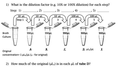 Solved 1 What Is The Dilution Factor E G 10x Or 100x