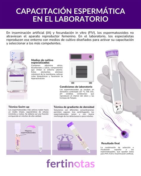 Capacitación Espermática Clave Para La Fecundación Fertinotas