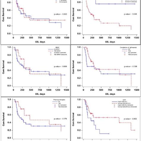 Kaplan Meier Curve For Os According To A Sex B Ecog Cldh Levels At