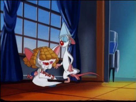 Pinky And The Brain Tv Series 19951998 Animaniacs Pinky Brain