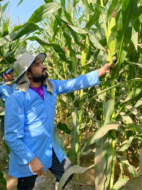 Hamdan Ali Khan Phd On Linkedin Bayercropscience Healthforall