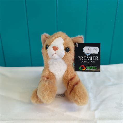Small Cat Soft Toy Ginger Buy And Shop Online At Ferne Animal Sanctuary