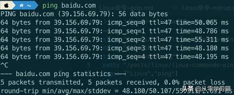 调整ping数据包大小 linux命令 ping csdn博客