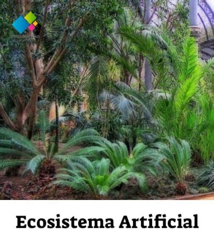 Ecosistema Artificial Ecosistemas Tipos De Ecosistemas Ecosistema
