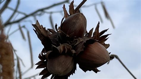 Prkos Glossyenergy Blog