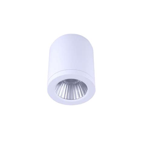 Propus 15w Led Dimmable Surface Mounted Downlight White Tri Colour