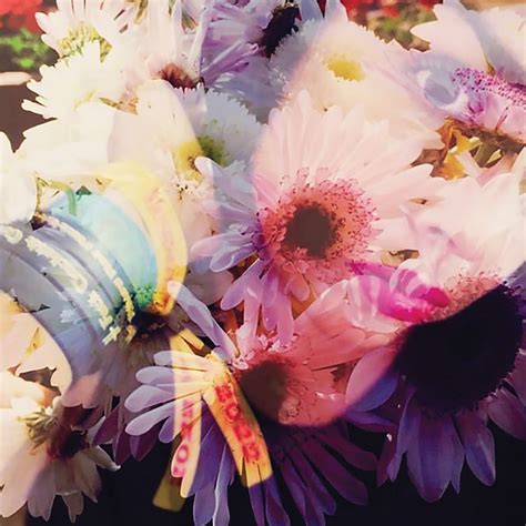 The Veldt Illuminated 1989 Little Cloud Records