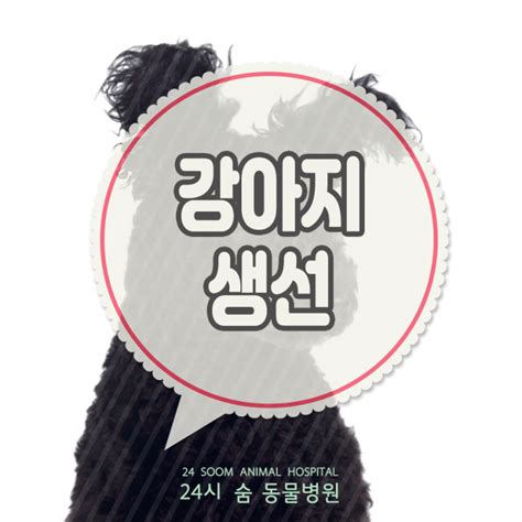 강아지가 먹을 수 있는 생선 강아지가 먹으면 안 되는 생선강아지 생선 급여 네이버 블로그