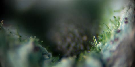Libethenite Micro Landscape ~100x Magnification Album On Imgur