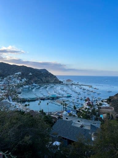 The Best Day Trip Itinerary To Avalon Catalina Island Explore With