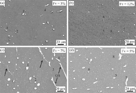 Sem Micrographs Showing The Microstructure Of A As Cast Mg 144nd