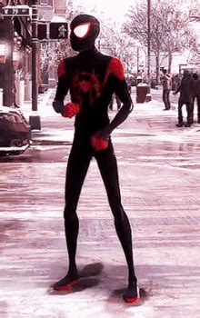 Spider Man Miles Morales Marvel  Spider Man Miles Morales Spider