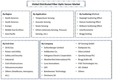Distributed Fiber Optic Sensor Market Size Share Analysis Forecast 2024 30