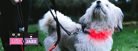 Lilly And Jake 3p Enterprise